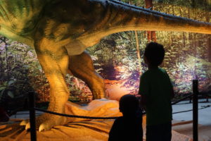 Discover The Dinosaurs: Time Trek - Ramnaths Away