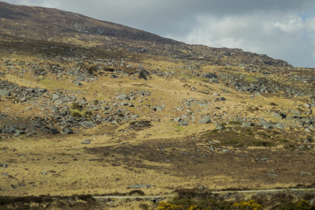 Amazing Glendalough and Wicklow Gap - Ramnaths Away