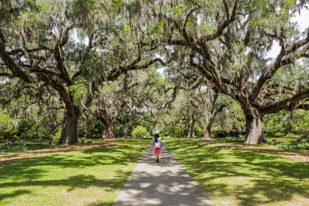 Exploring Brookgreen Gardens in Myrtle Beach - Ramnaths Away